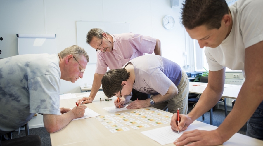 Coaching - WSD - Werk.Samen.Doen